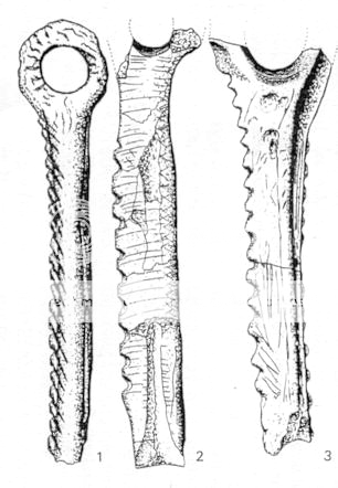JIMENA EN EL TIEMPO: LOS ORIGENES DE LA MUSICA